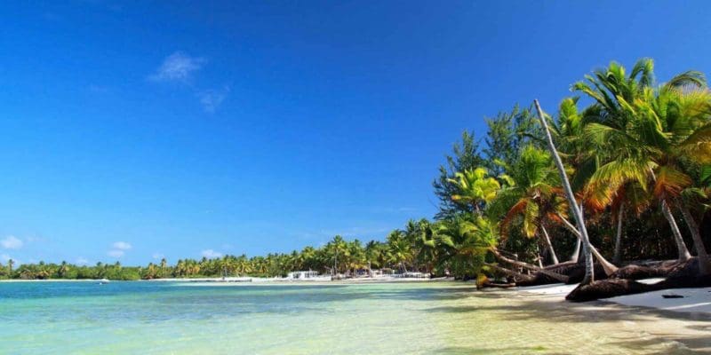 Praia da Daniela em Florianópolis - 2024 | Dicas incríveis!